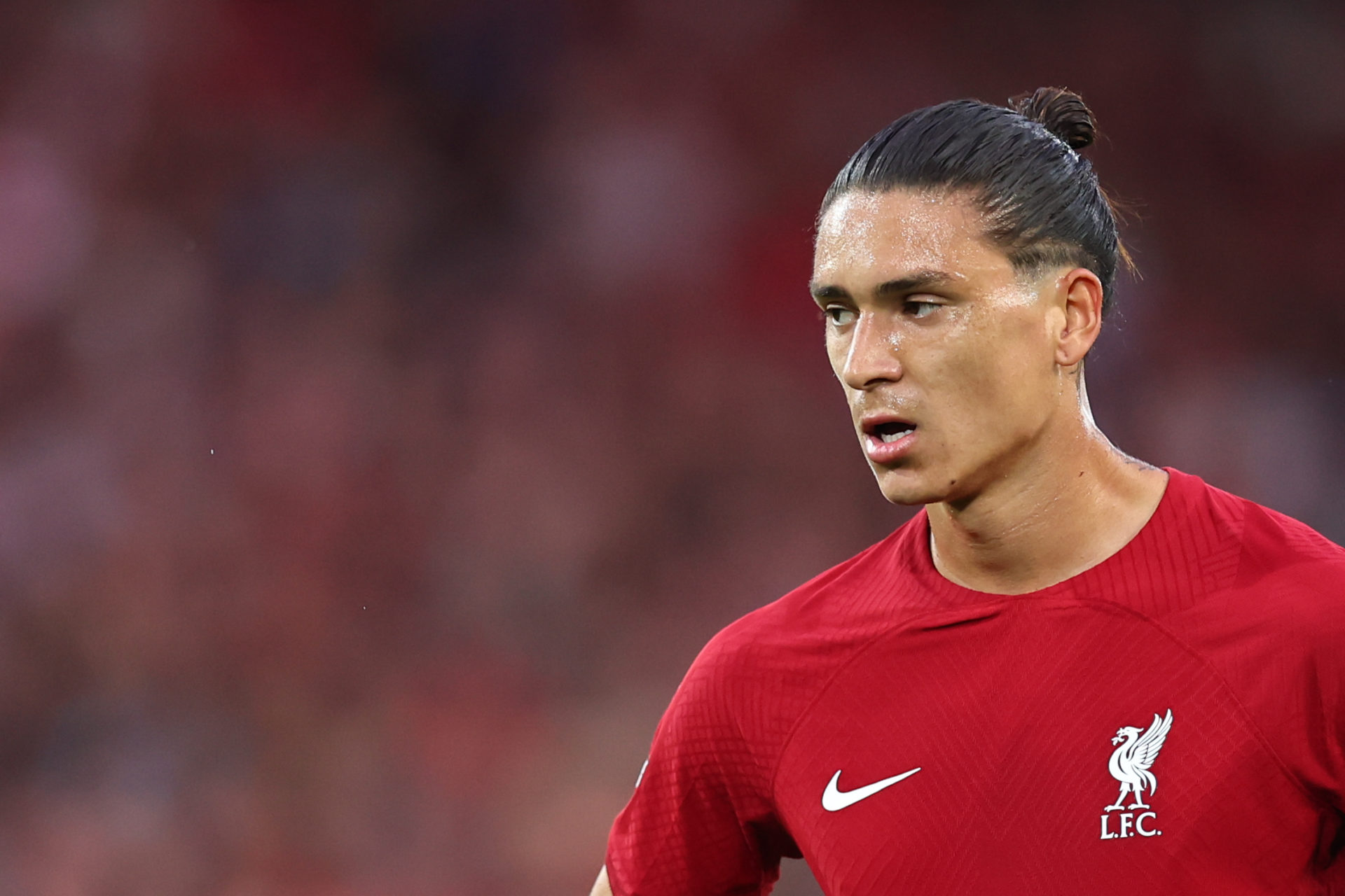 Photo: How Nunez reacted to Liverpool bench clashing with Newcastle's