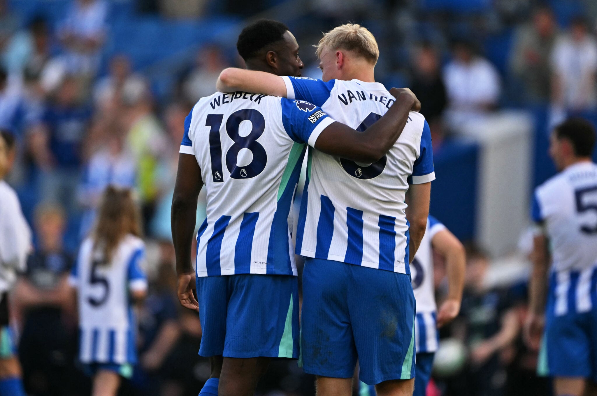 How Brighton feel about selling Jan Paul van Hecke after confirmation ...