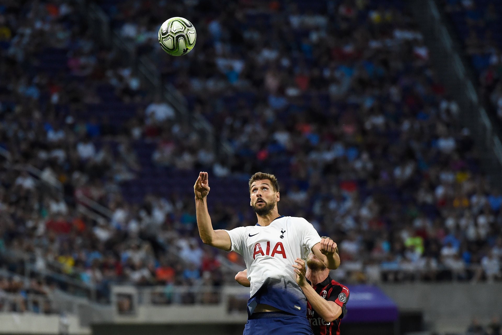 Tottenham veteran Fernando Llorente is exactly the type of player West ...