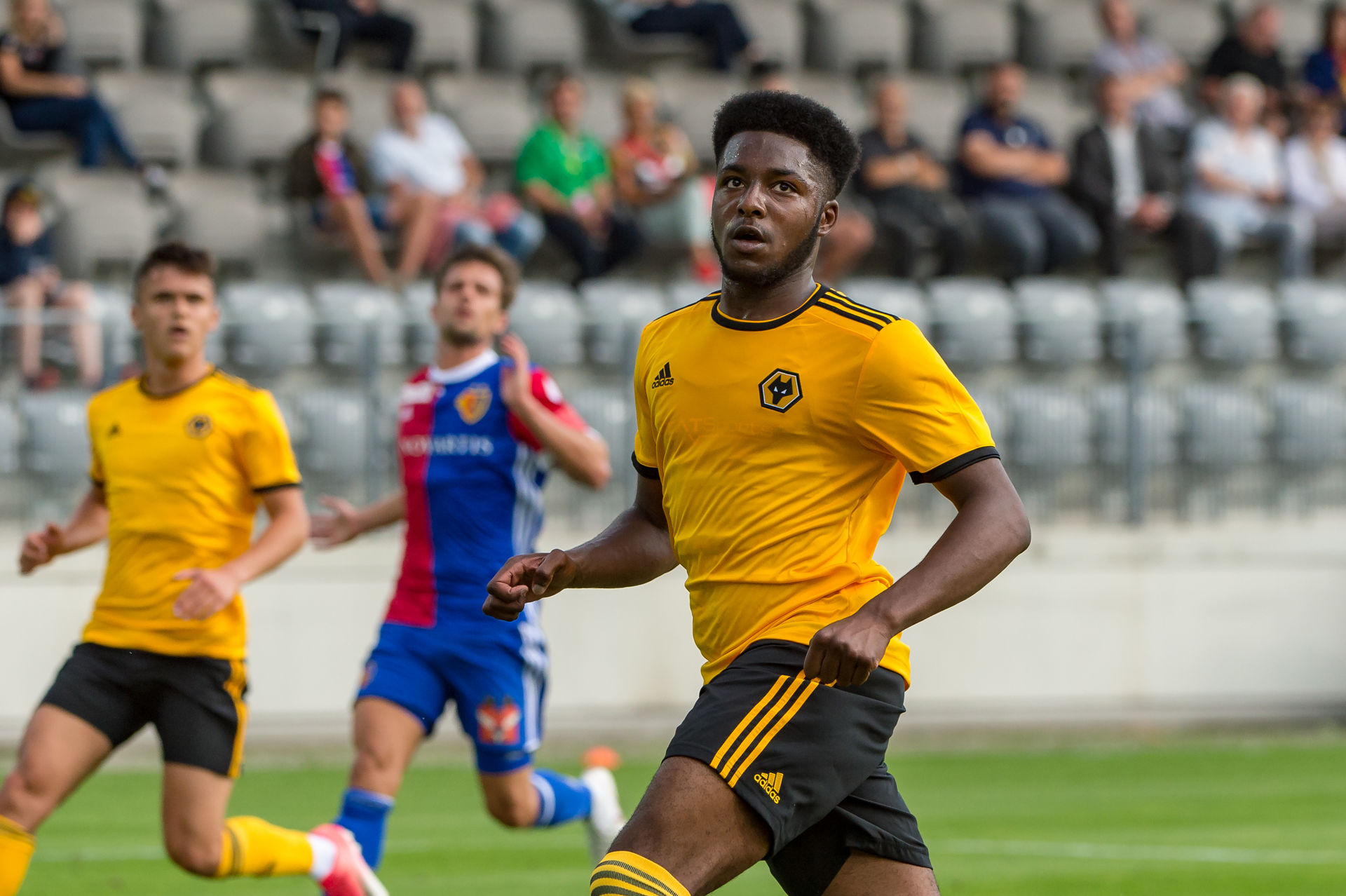 Report: Leicester City and Crystal Palace looking at Cameron John of Wolves